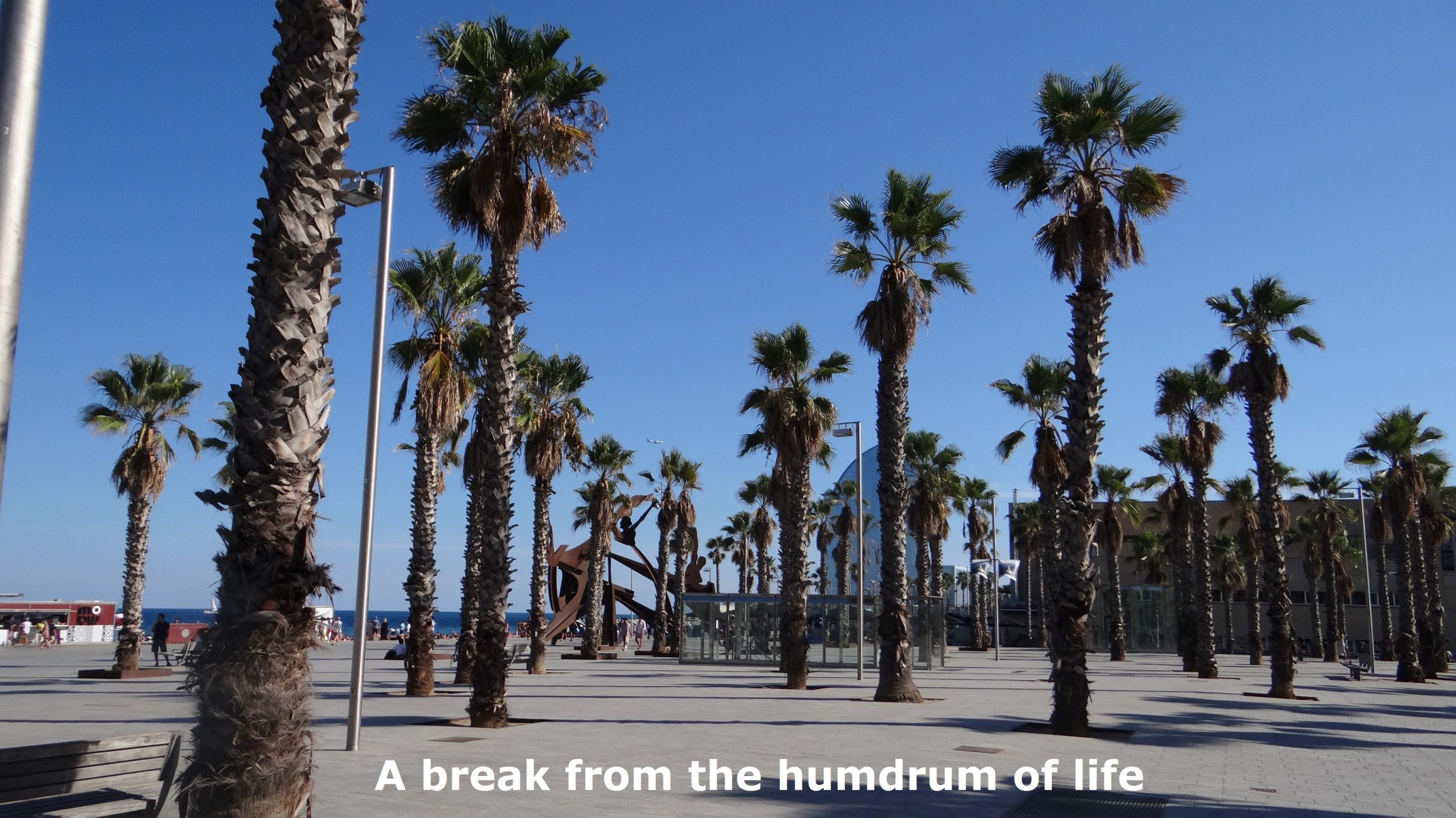 A break from the humdrum of life - Mastertrender